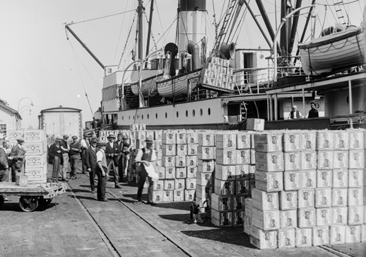 Port Nelson – gateway to the top of the South | The Chartered Institute ...