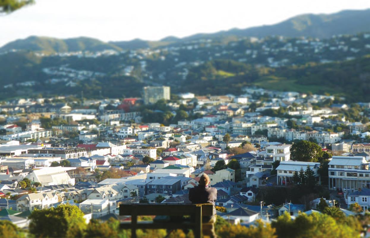 New Zealand’s changing demographic hints at the urban future | The ...