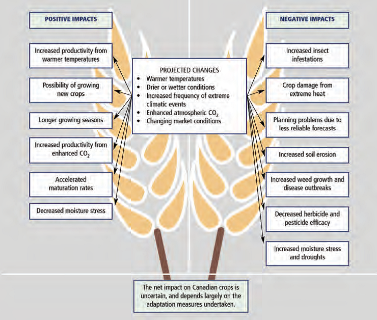 Carbon footprints and net zero concepts | The Chartered Institute of ...